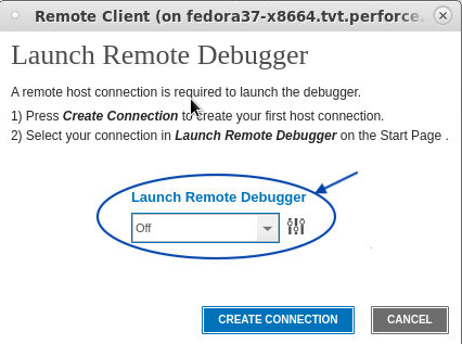 Connecting Remotely From the TotalView Remote Client